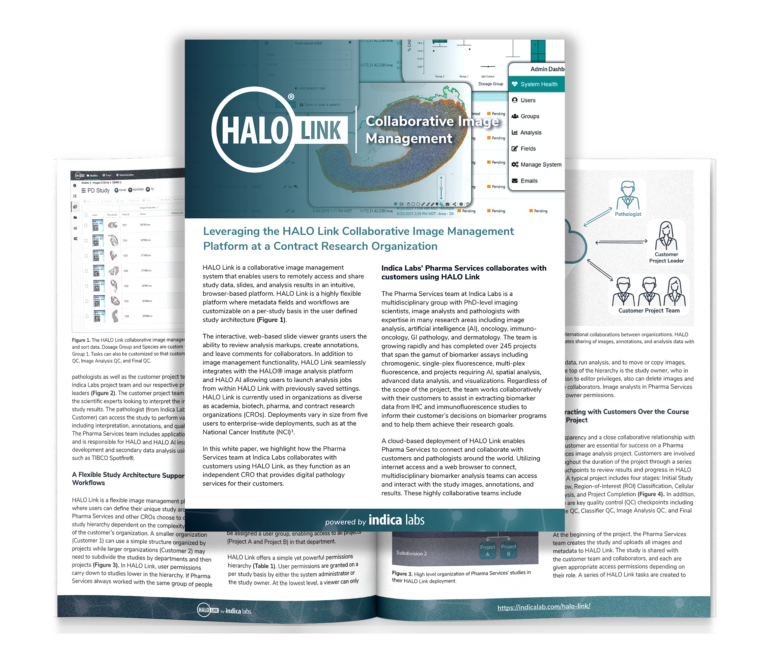 HALO AI | Trainable AI for Pathology - Indica Labs
