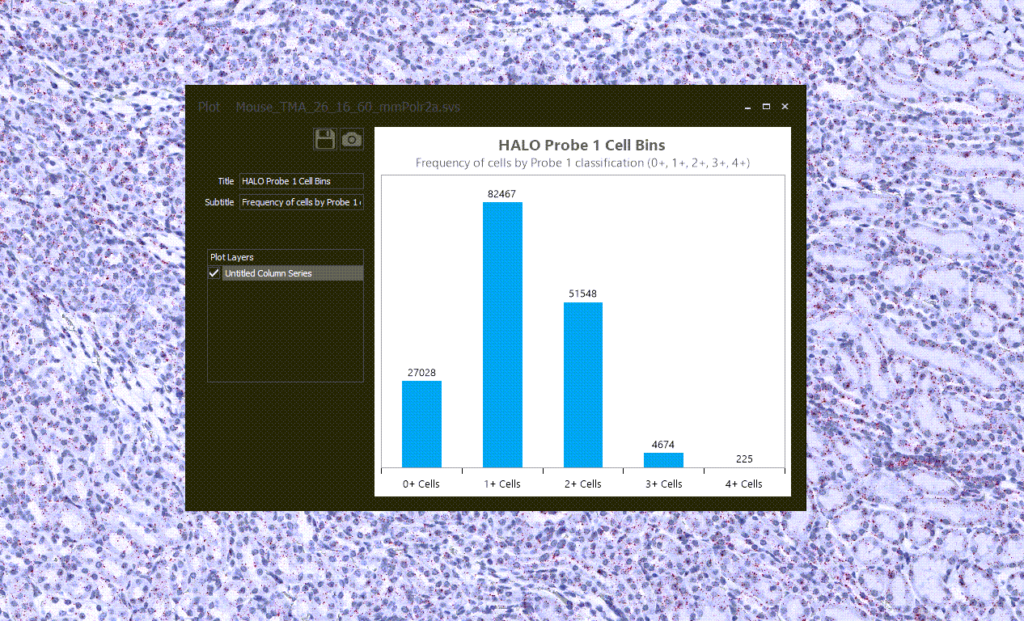 Getting Started with RNAscope™ Image Analysis in HALO® - Indica Labs