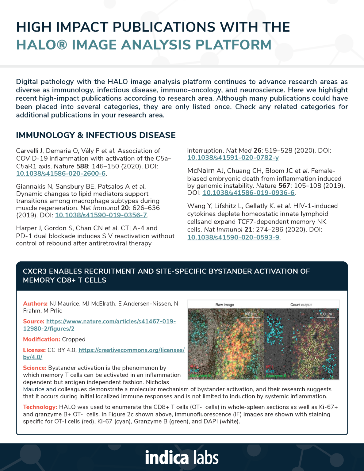 HALO | Quantitative Image Analysis for Pathology - Indica Labs