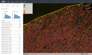 HALO Link - Indica Labs