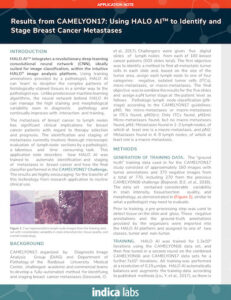 HALO AI | Trainable AI for Pathology - Indica Labs