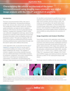 HALO AI | Trainable AI for Pathology - Indica Labs