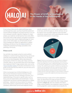 HALO AI | Trainable AI for Pathology - Indica Labs