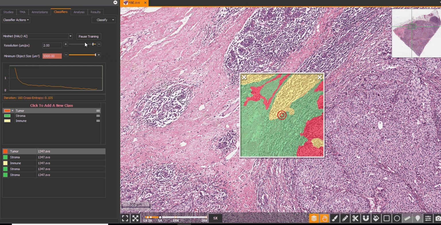 HALO AI - Indica Labs