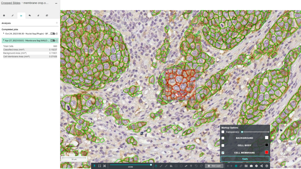HALO®, HALO AI, and HALO Link 4.0 Features and Functionalities - Indica ...