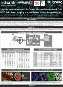HALO AI | Trainable AI for Pathology - Indica Labs