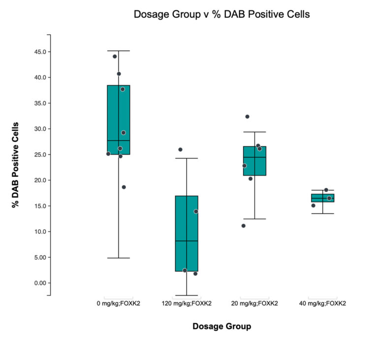 HALO Link | Collaborative Image Management for Pathology - Indica Labs