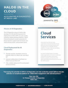 HALO AI | Trainable AI for Pathology - Indica Labs