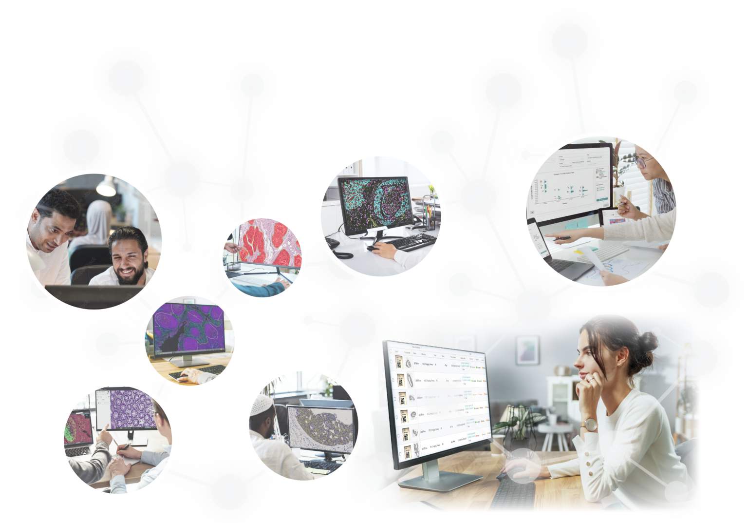 HALO Link | Collaborative Image Management for Pathology - Indica Labs