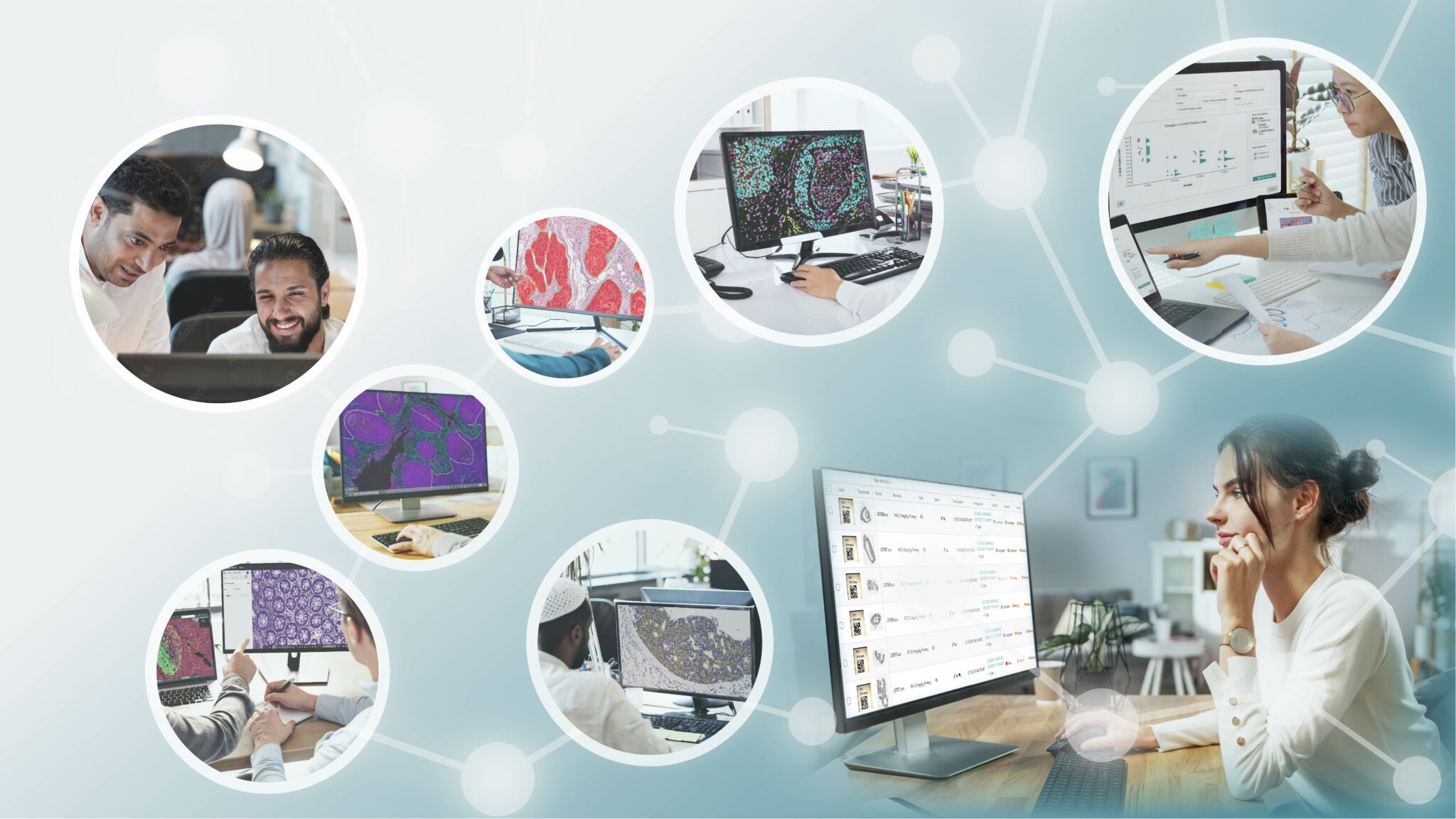 HALO Link | Collaborative Image Management for Pathology - Indica Labs