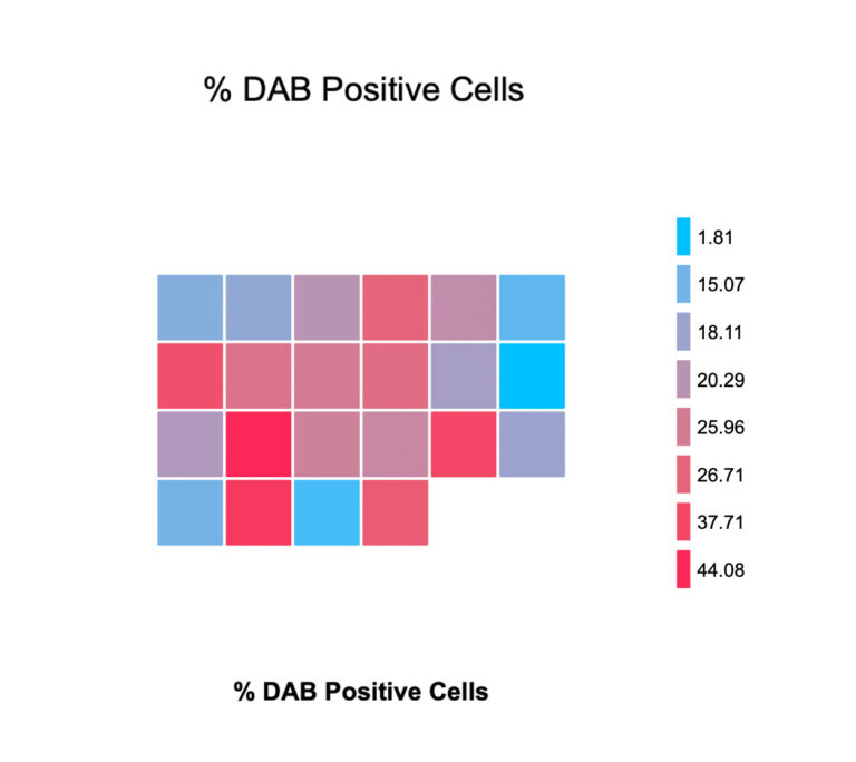 HALO Link | Collaborative Image Management for Pathology - Indica Labs