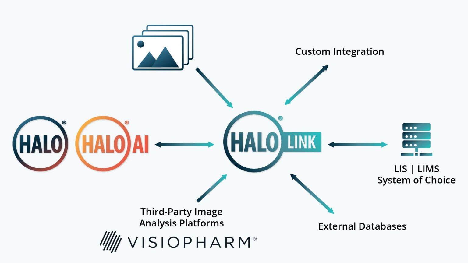 HALO Link | Collaborative Image Management for Pathology - Indica Labs