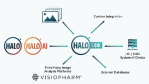 HALO Link | Collaborative Image Management for Pathology - Indica Labs