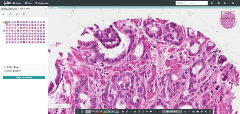 HALO Link | Collaborative Image Management for Pathology - Indica Labs