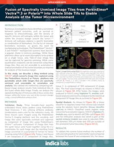 HALO | Quantitative Image Analysis for Pathology - Indica Labs
