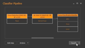 HALO AI | Trainable AI for Pathology - Indica Labs