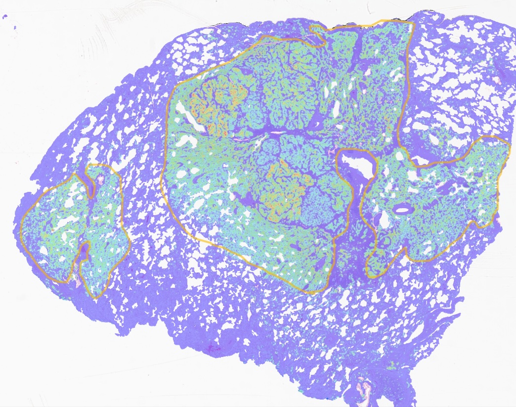 Clinical Products - Indica Labs