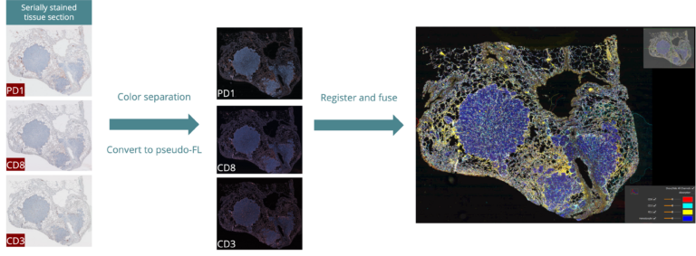 Serial Section Analysis Add-on - Indica Labs