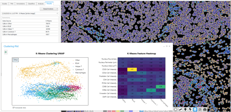 Masterclass: High Dimensional Analysis in HALO® - Indica Labs