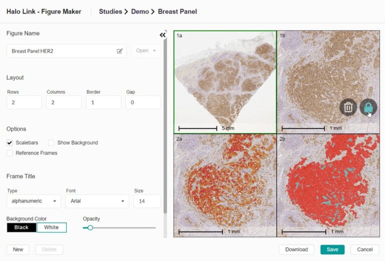 HALO Link | Collaborative Image Management for Pathology - Indica Labs