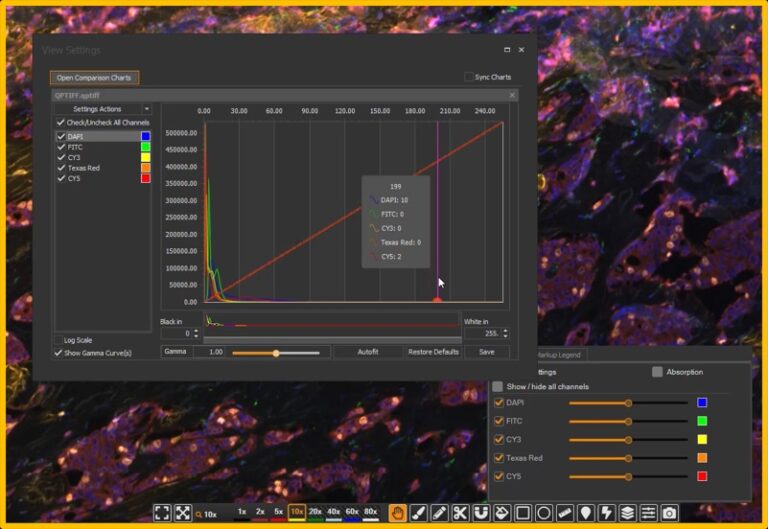 HALO | Quantitative Image Analysis for Pathology - Indica Labs