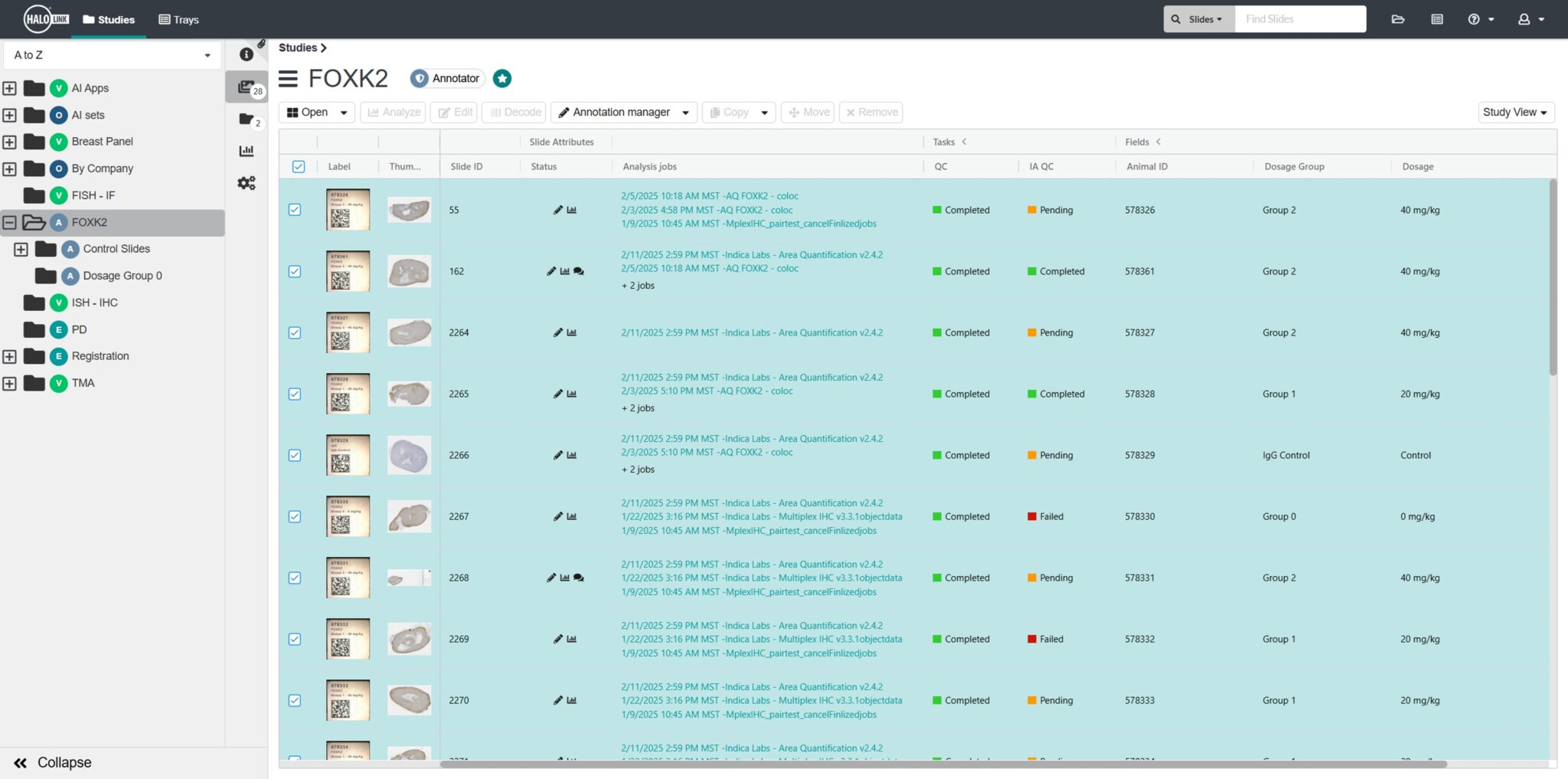 HALO Link | Collaborative Image Management for Pathology - Indica Labs