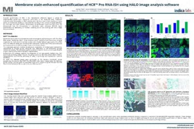 HALO | Quantitative Image Analysis for Pathology - Indica Labs