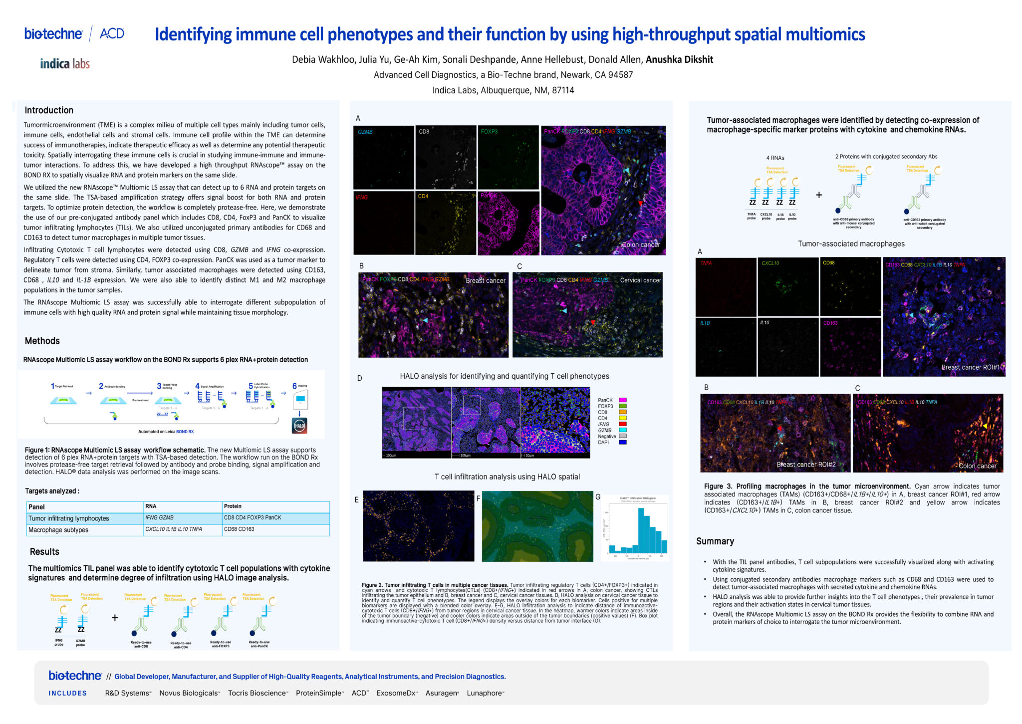 HALO | Quantitative Image Analysis for Pathology - Indica Labs