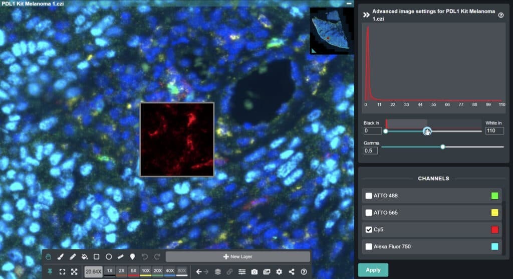 Clearly Visualize Digital Pathology Images with View Settings ...