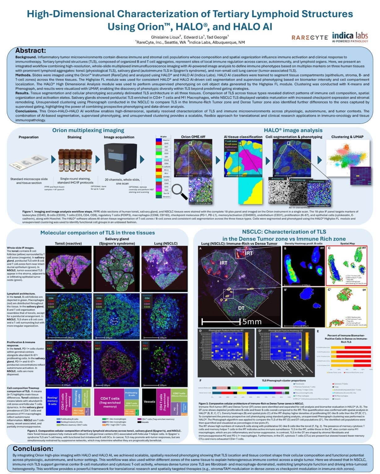 HALO AI | Trainable AI for Pathology - Indica Labs