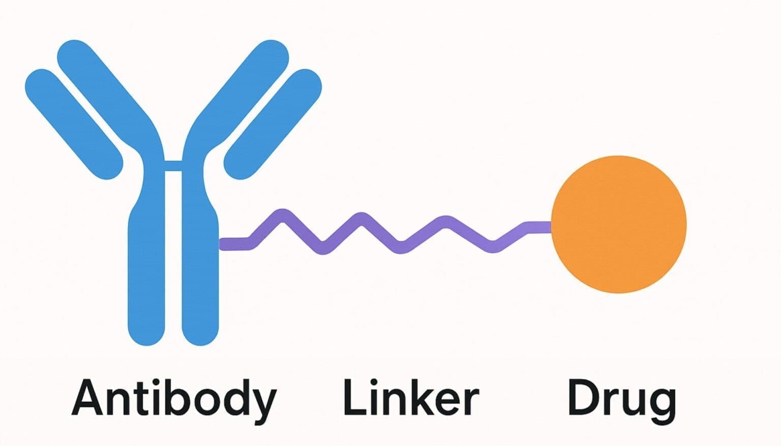 Unlocking the Potential of Antibody-Drug Conjugates (ADC) with HALO ...