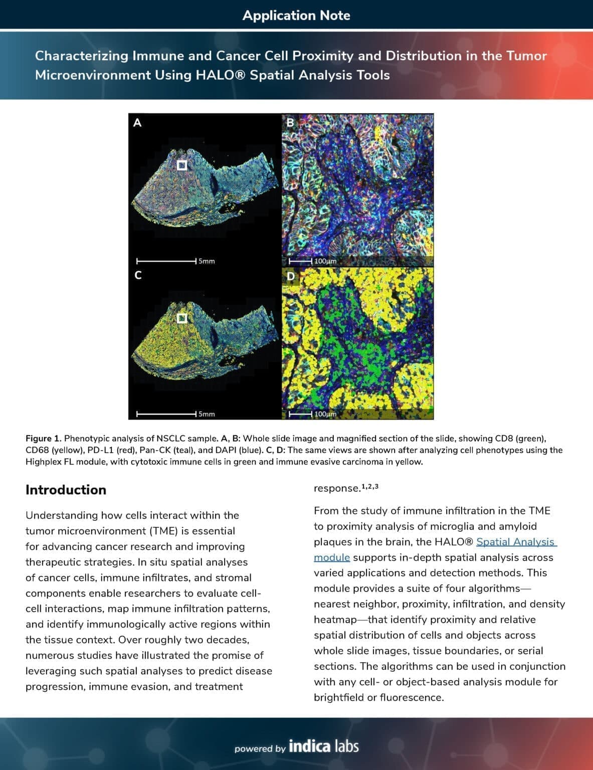 HALO | Quantitative Image Analysis for Pathology - Indica Labs