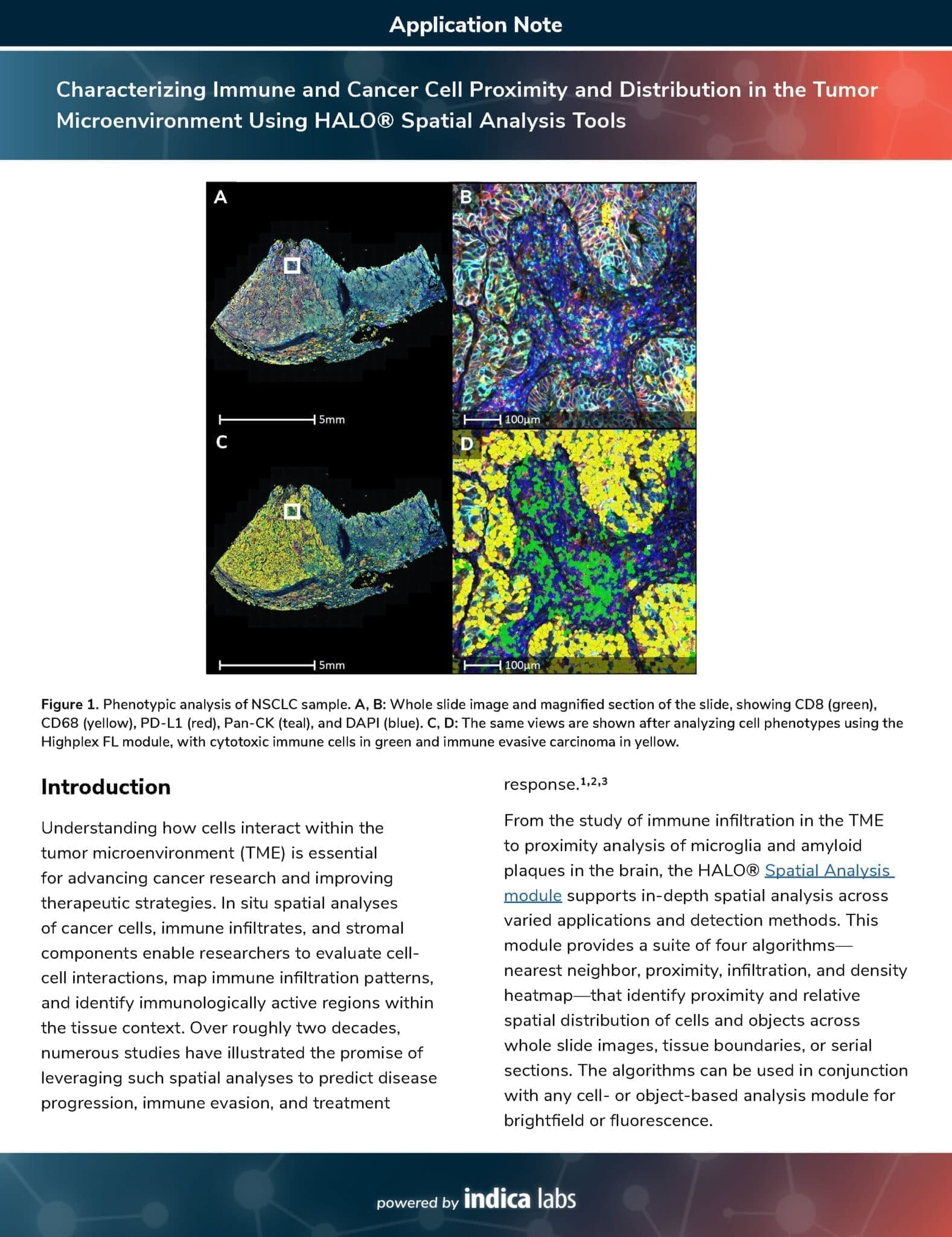 HALO | Quantitative Image Analysis for Pathology - Indica Labs