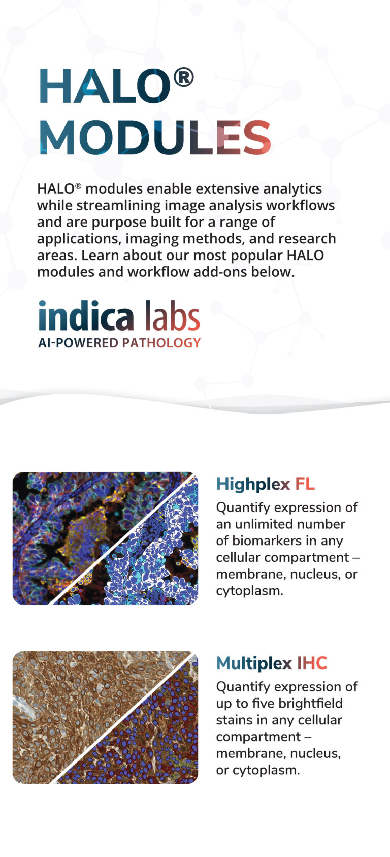 HALO | Quantitative Image Analysis for Pathology - Indica Labs